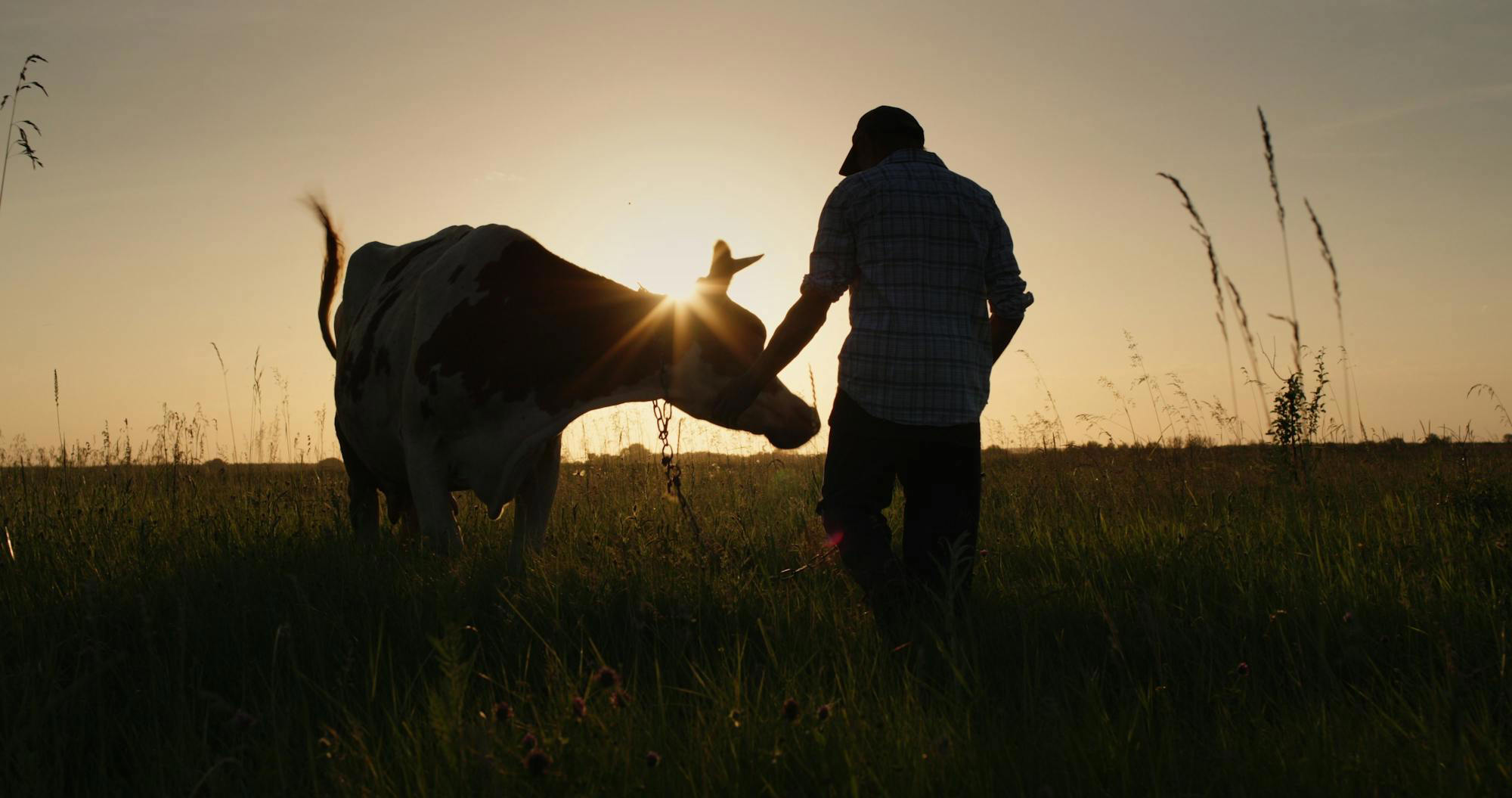 New research reveals why some Australian dairy farmers are considering ... New research reveals why some Australian dairy farmers are considering ...