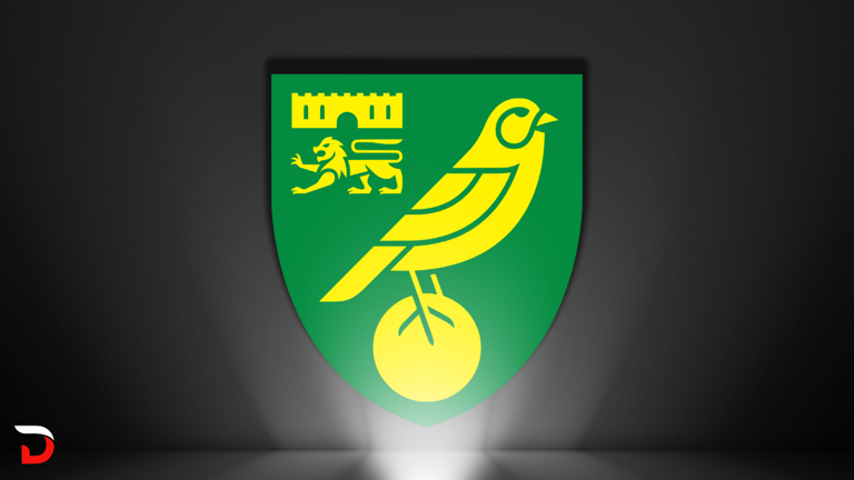 Duo of League Two Clubs Reportedly Interested in Norwich City Defender