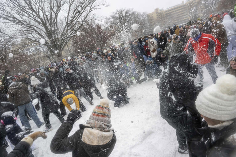 D.C. snowball fight draws hundreds of people — and a polar bear