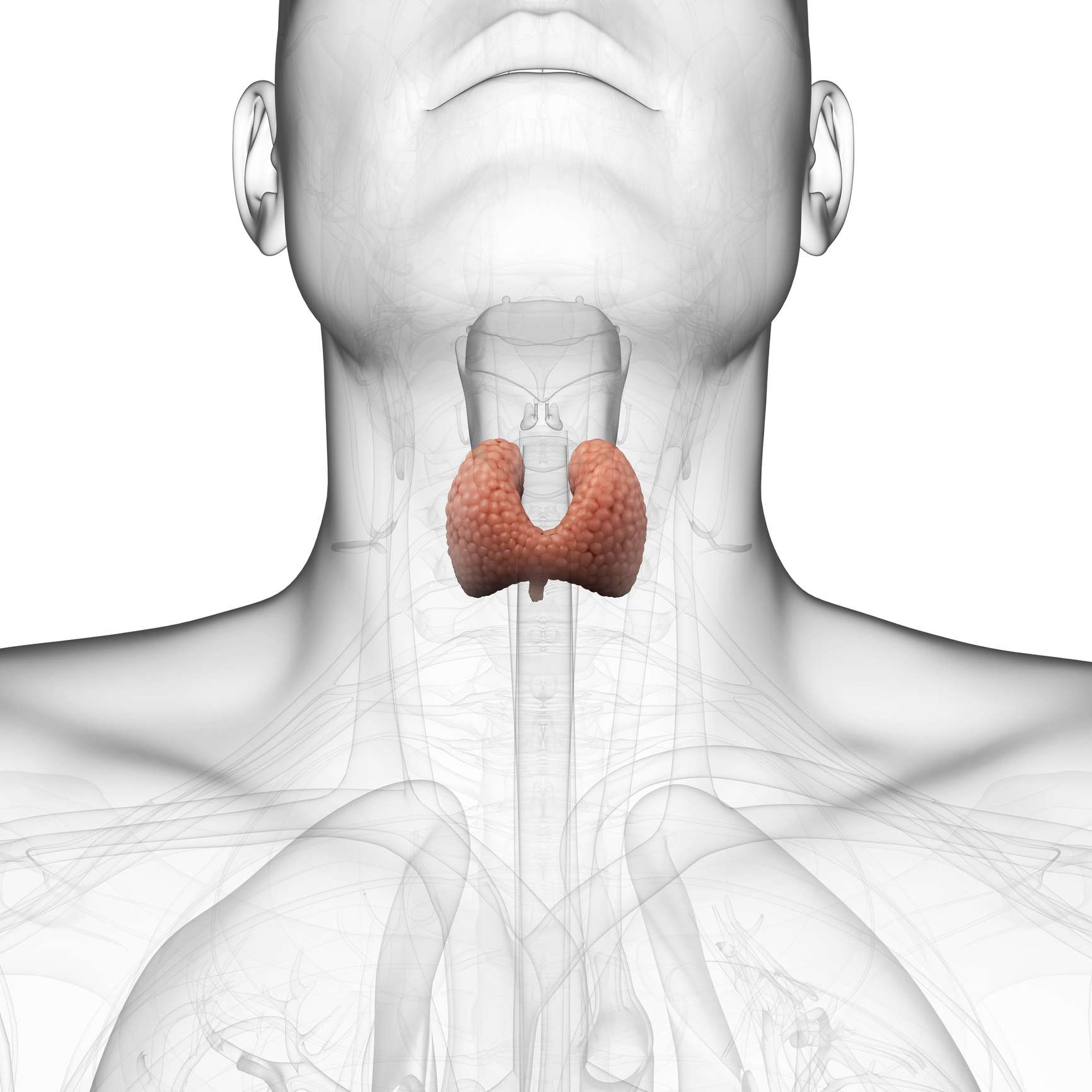 Thyroid disease causes and risk factors