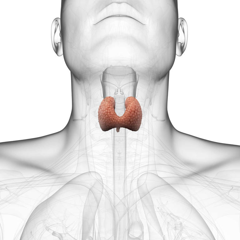 Thyroid disease causes and risk factors