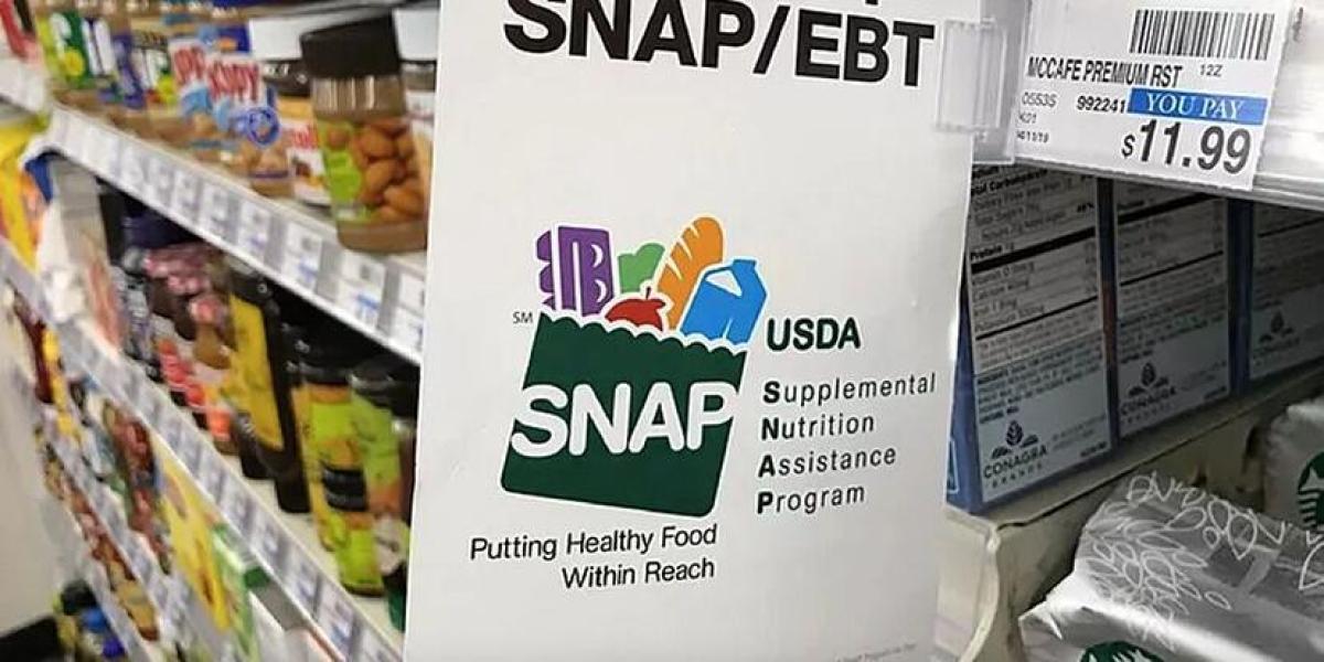 Este es el monto total que SNAP repartirá en Texas durante julio 2025 ...