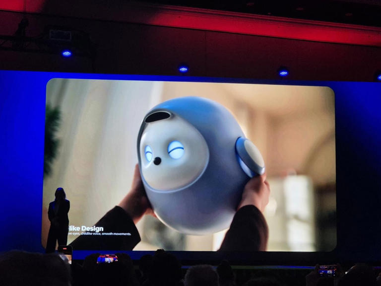 [CES 2025] 中 TCL·하이센스, AI 기술 기반 미니-LED 기술력 과시