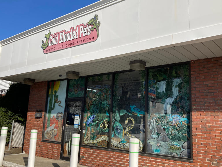 Looking to spoil your pet? Check out the top 6 New Bedford-area pet ...