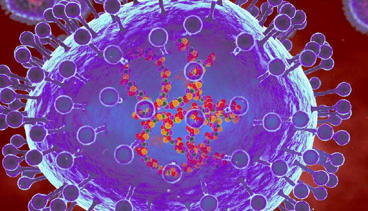 HMPV Virus- Causes, Symptoms and Treatment