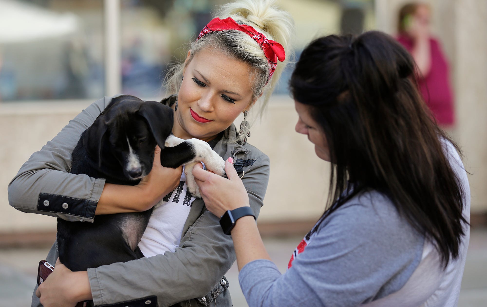 Sandi Paws Rescue begins 2025 with preparations to move to its first ...