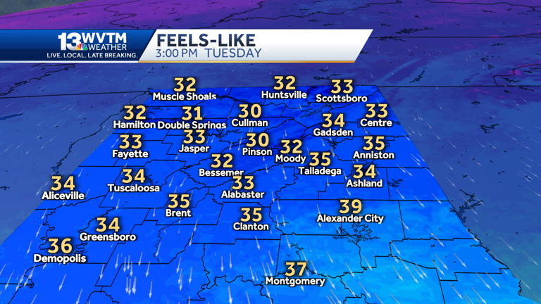 Alabama forecast: Arctic air blasts Alabama this week