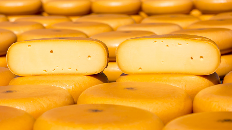 Unique Cheeses That Have More Protein Than Meat