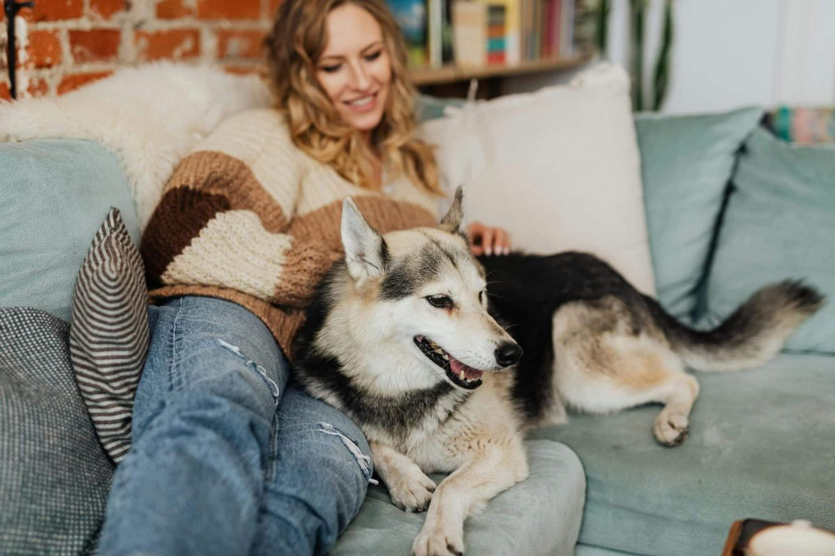 Top 11 Ways Dogs Show They’ll Love You Forever Top 11 Ways Dogs Show They’ll Love You Forever