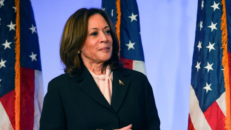 'Utterly delusional': Kamala Harris' presidential ambitions for 2028 'Utterly delusional': Kamala Harris' presidential ambitions for 2028