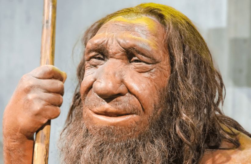 Researchers use skeletons from Israel, Iraq to find source of ...