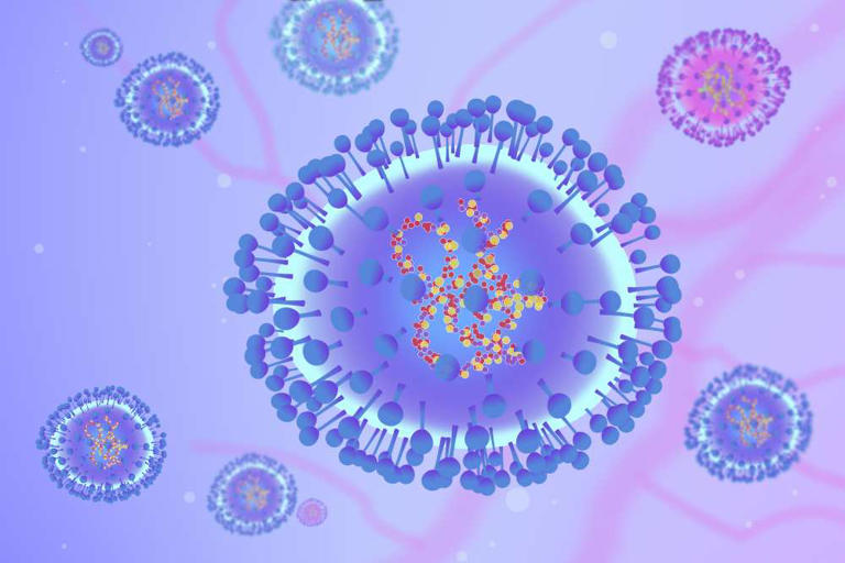 Kenali, Gejala, Penyebab, dan Cara Mencegah HMPV Human Metapneumovirus Kenali, Gejala, Penyebab, dan Cara Mencegah HMPV Human Metapneumovirus