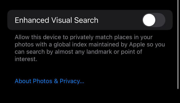 Everything You Should Know About Enhanced Visual Search on Your iPhone