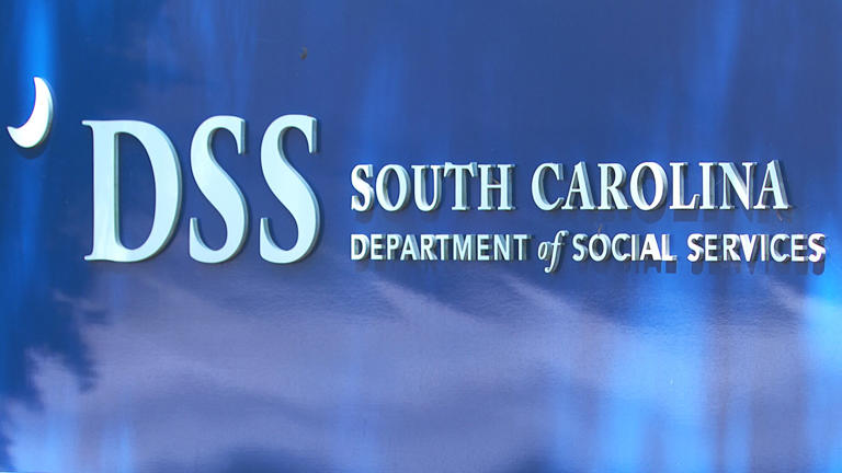 McMaster announces new acting director of DSS