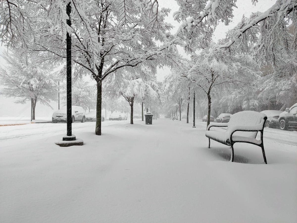Here's How Much Snow Fell From 2-Day Storm In VA