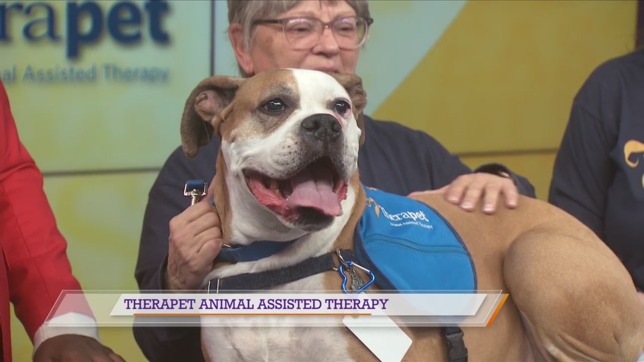 Therapet: Animal Assisted Therapy