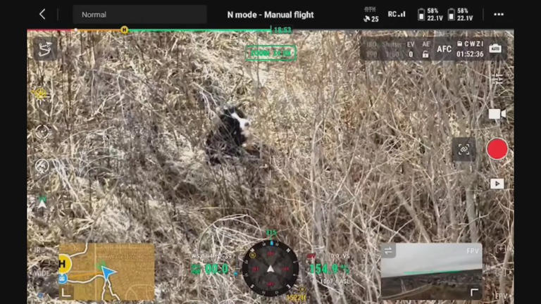 Drone helps find Charlie the dog after he was missing for nearly a week