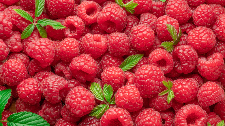 Raspberries Vs. Wild Raspberries: What's The Difference?