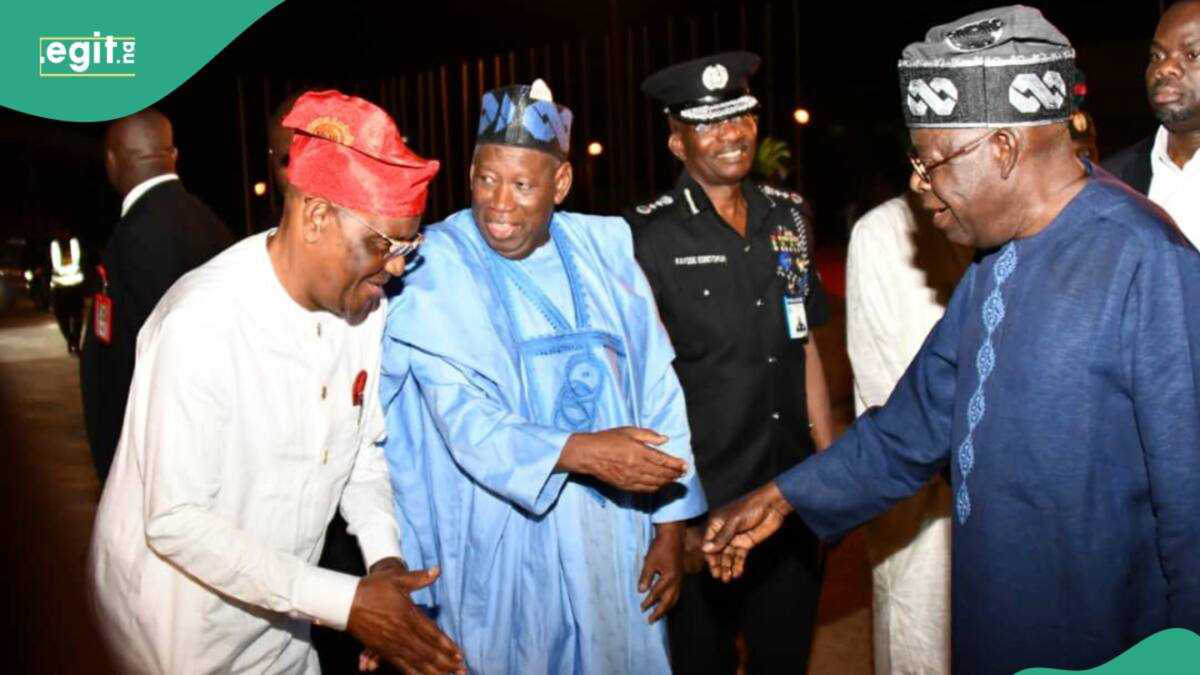Popular lawyer reveals “biggest mistake” APC govt has made Popular lawyer reveals “biggest mistake” APC govt has made