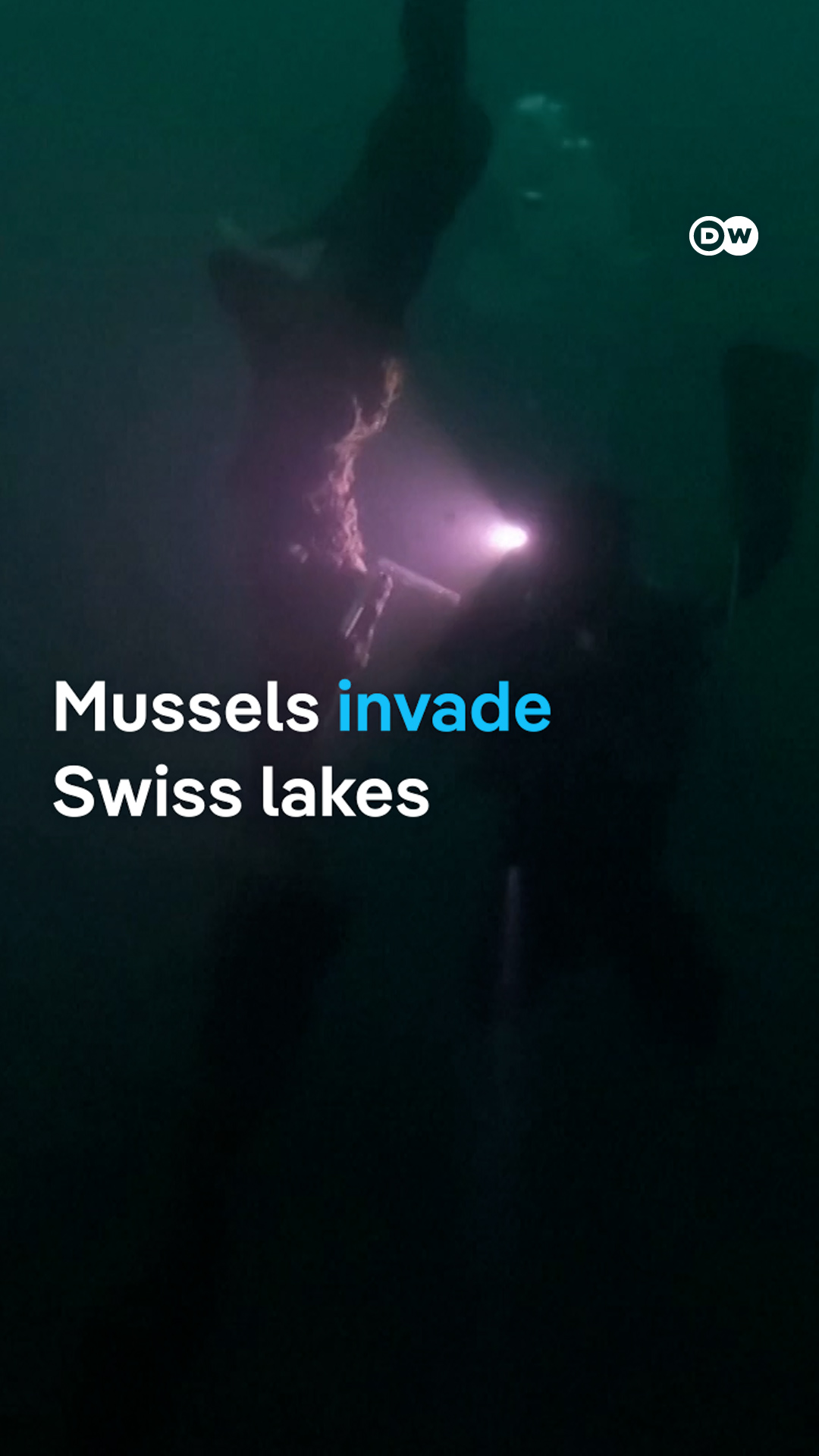 Silent lake invaders