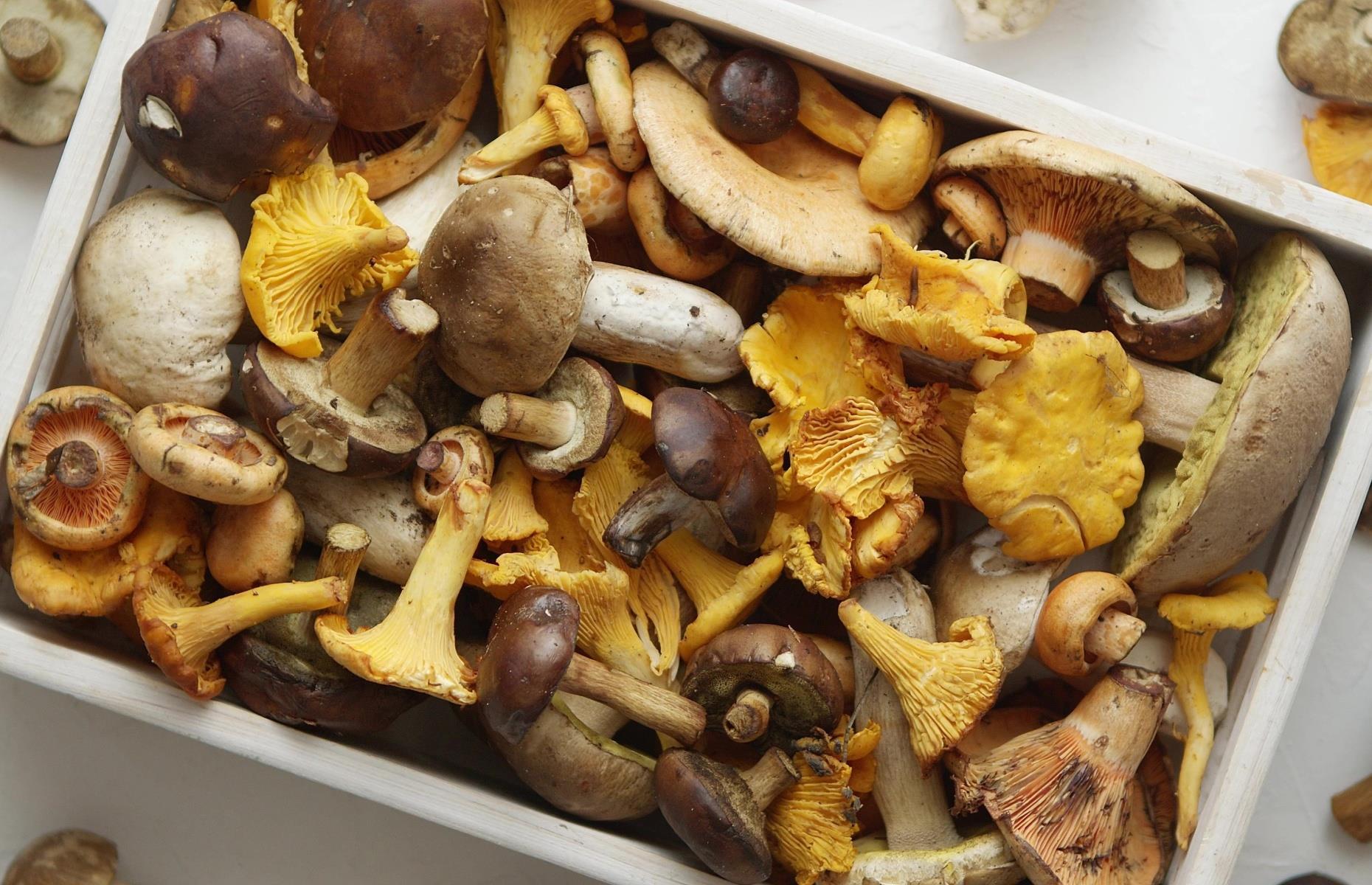 Los alimentos MÁS peligrosos del mundo: Son muy comunes y pueden ser ...