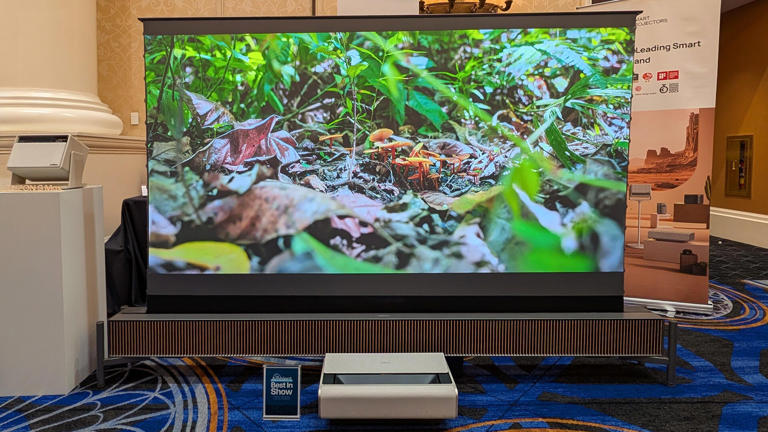 Finally, A Roll-Up Projector Screen of Your Budget TV Dreams