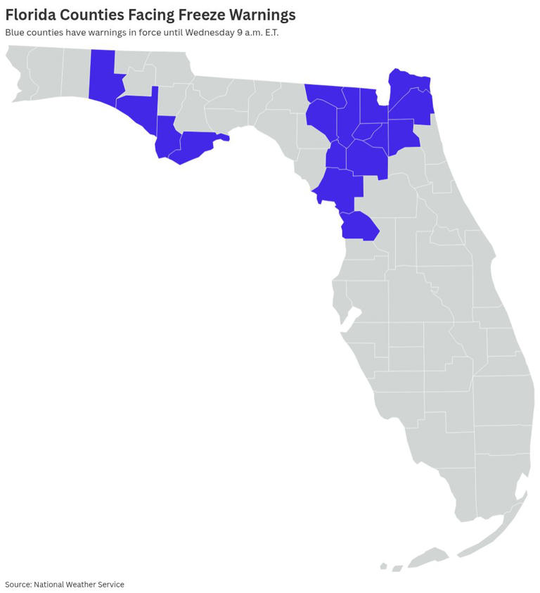 Florida Freeze Map Shows Counties To Be Hit Hardest As Frostbite ...