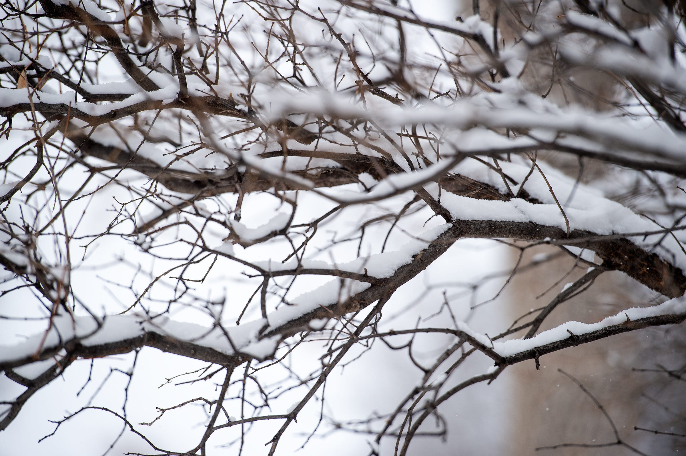 Arctic air to bring freezing, below-zero temperatures to Fort Collins ...