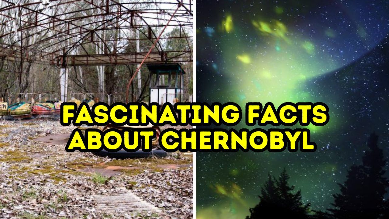 22 Fascinating Facts About Chernobyl That Most People Don’t Know
