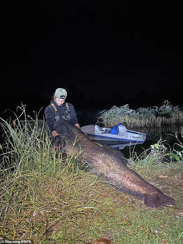 Eight-foot catfish weighing 150lbs reeled in by husband-wife duo