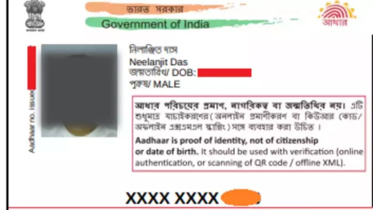 What is masked Aadhaar? Know how to download, features, usage and other ...