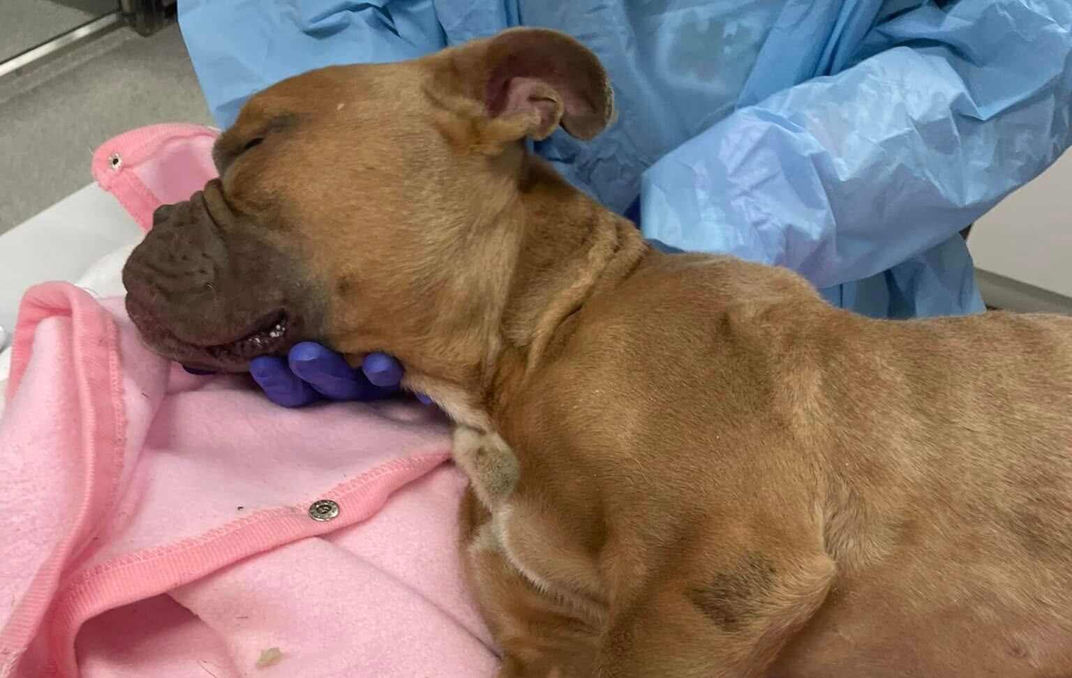 Euclid couple now face felony charges for death of ‘completely ...