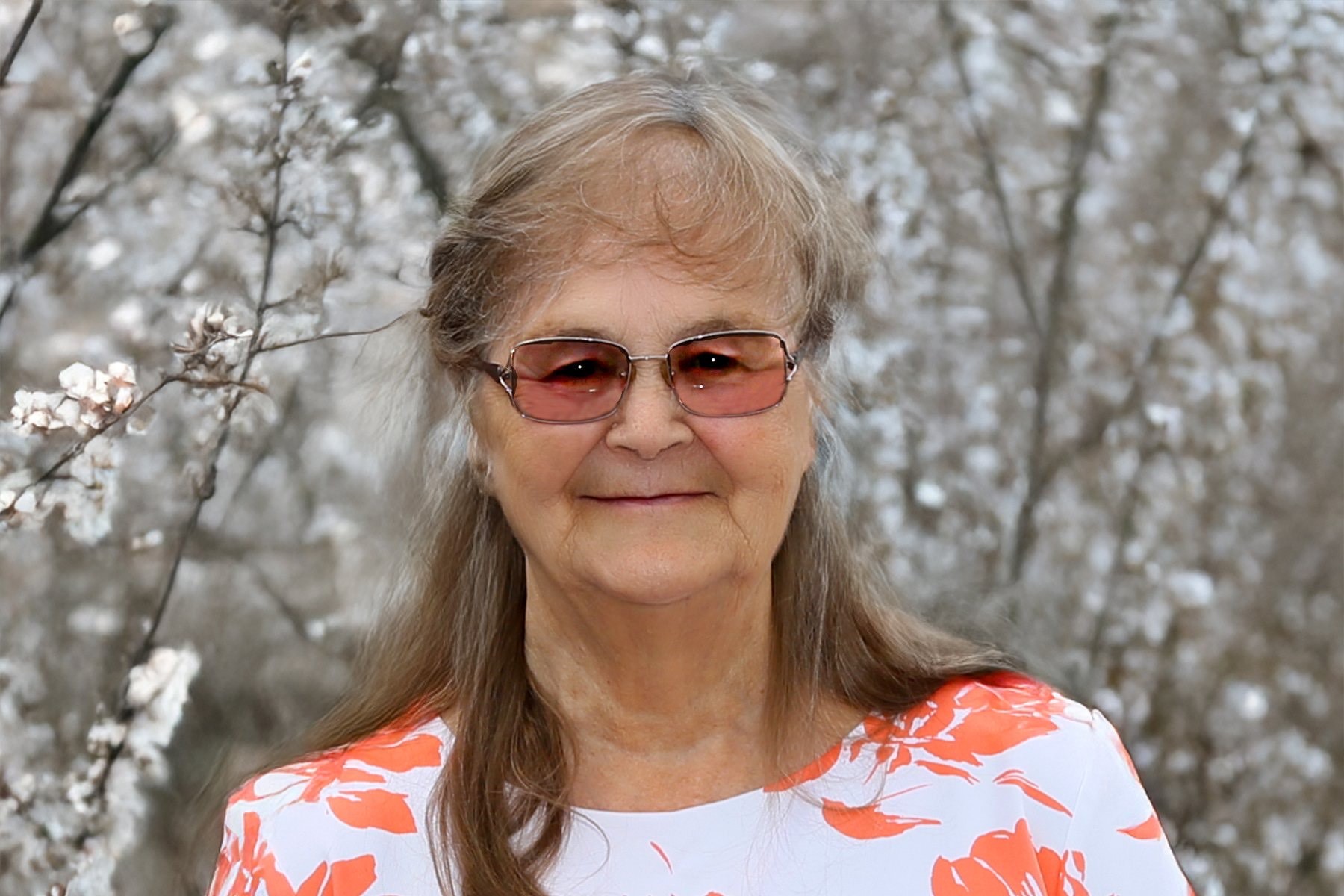 NETHA WANEMA NEAL KMETZ