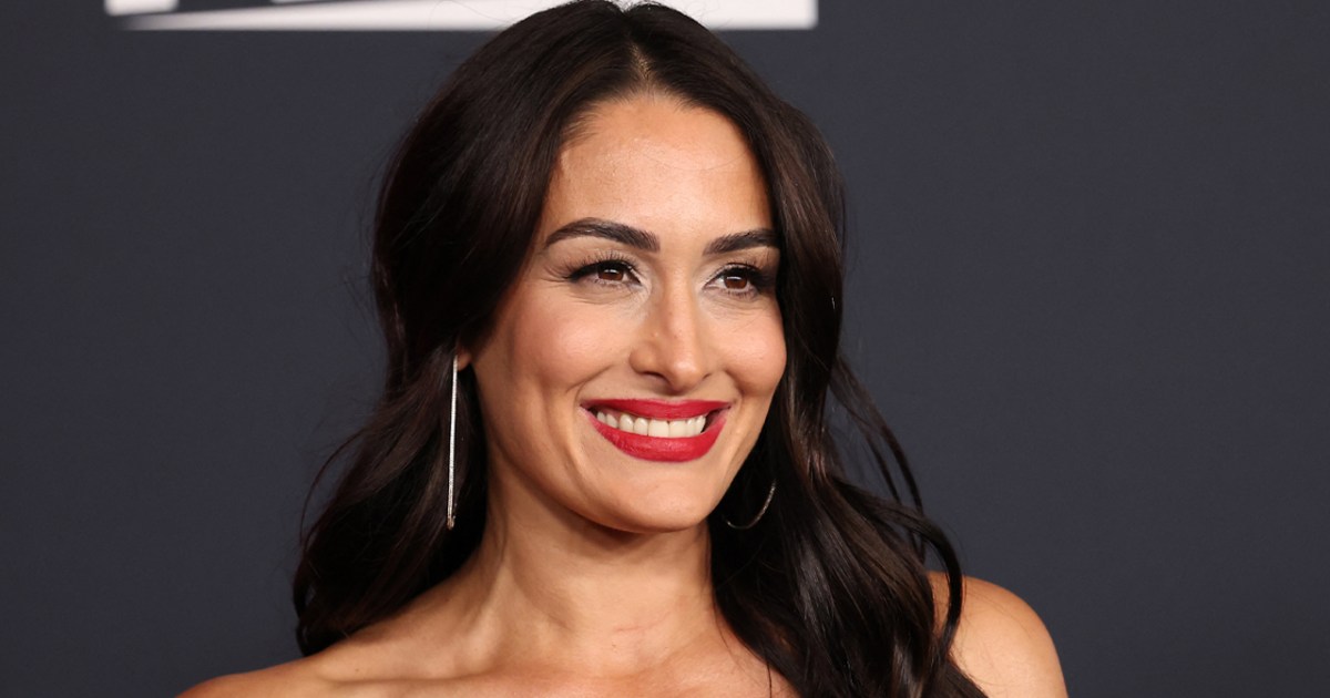 Nikki Garcia Misses Being Nikki Bella, Wants Brie Bella To Get A Last ...