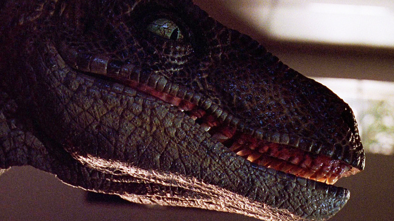 A Jurassic Park Fan Edit Reveals What Scientifically Accurate Raptors ...
