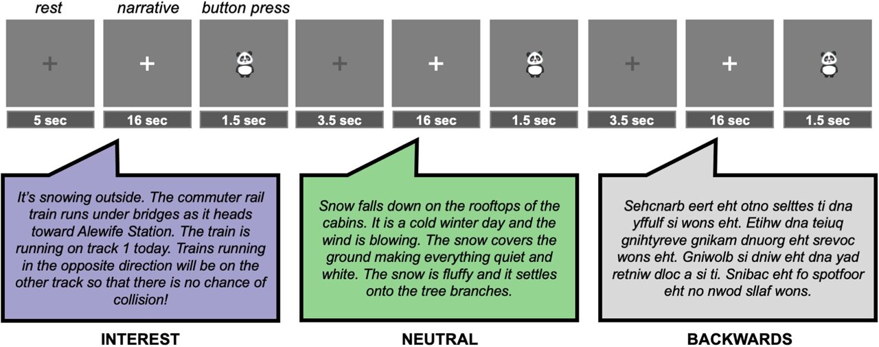 Personal interests can influence how children's brains respond to language