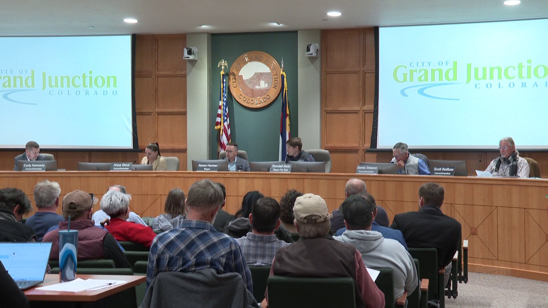 Want to get involved in local government? City council candidate ...