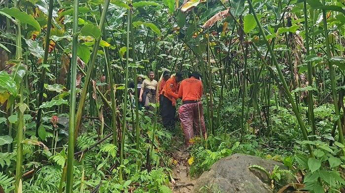 Niat Cari Durian, 3 Orang di Padang Tersesat dan Terpaksa Bermalam di ... Niat Cari Durian, 3 Orang di Padang Tersesat dan Terpaksa Bermalam di ...