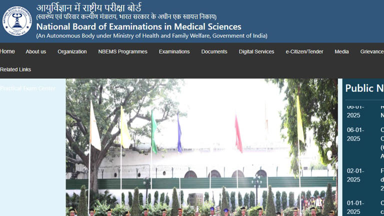 NBEMS FMGE Admit Card December 2024 Released Today At natboard.edu.in ...