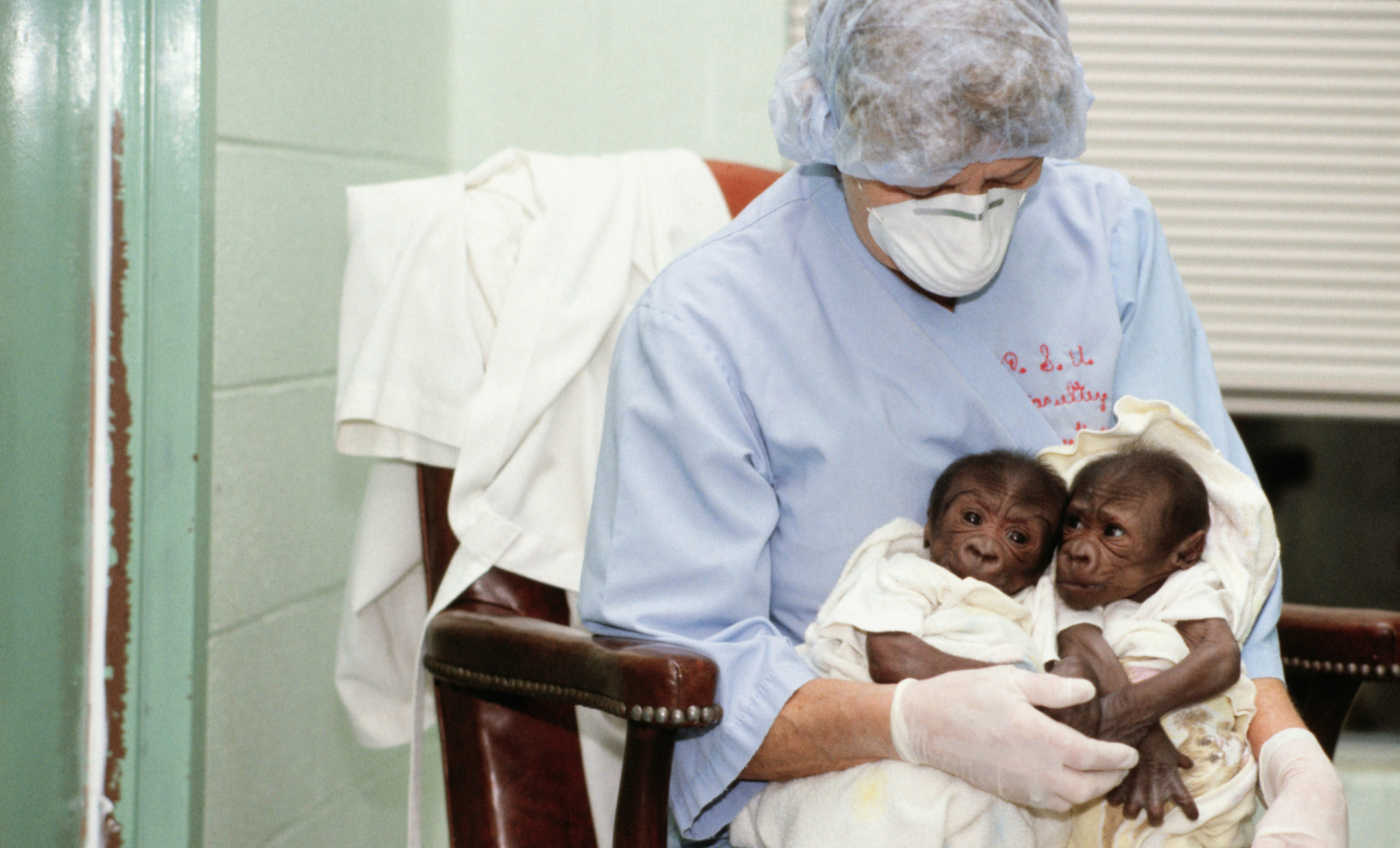 When did humans become human?