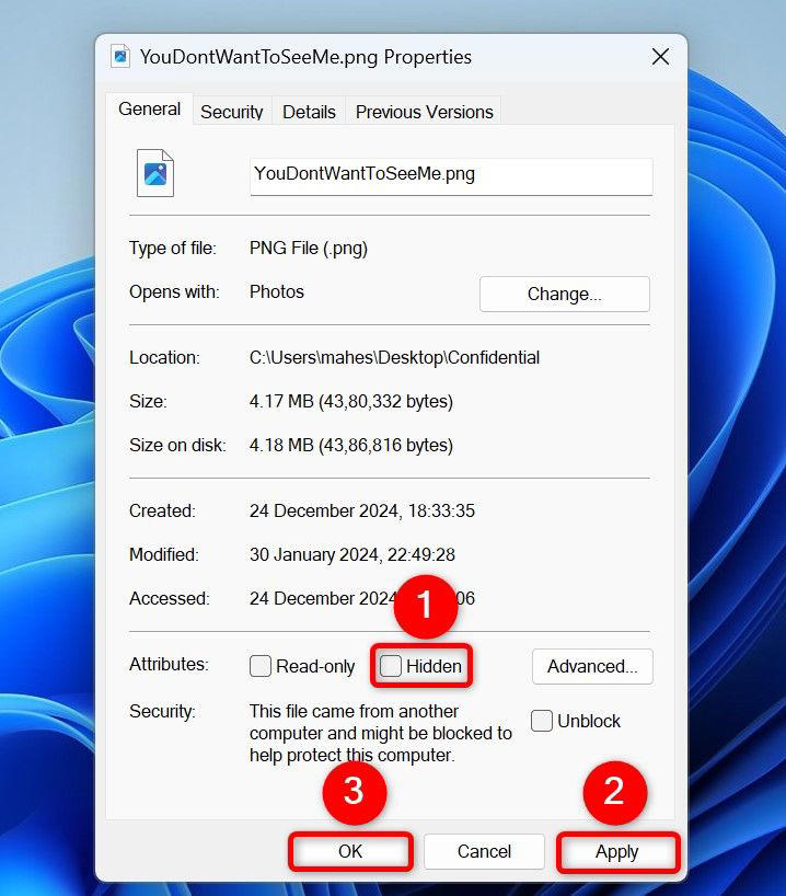 4 Ways to Hide Files and Folders on Windows 11
