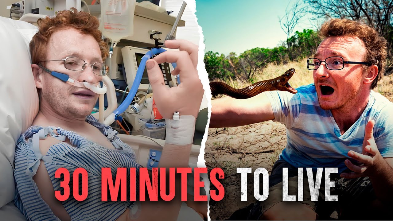 This Snake Can Kill in Minutes—How to Survive a Bite