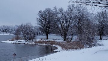 Three Chester County Hiking Trails to Catch the Best Nature Views
