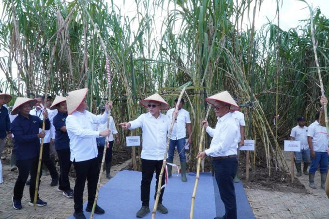 Perluas Kebun Tebu, PGKM Optimis Tingkatkan Produksi Gula
