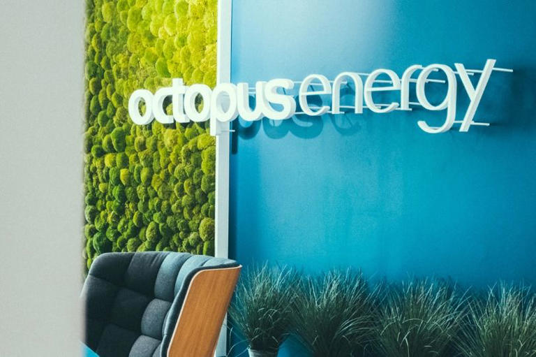 British Gas, EDF, E ON Next, Octopus and OVO customers urged to come ...