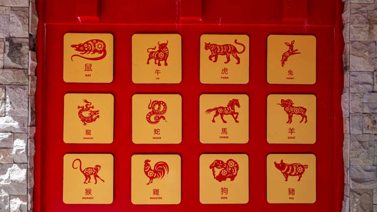 Das chinesische Neujahr: Vorhersagen für 2025 Das chinesische Neujahr: Vorhersagen für 2025
