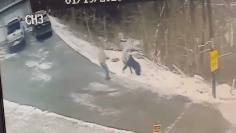 VIDEO: Neighbor saves Pennsylvania man during bear attack VIDEO: Neighbor saves Pennsylvania man during bear attack