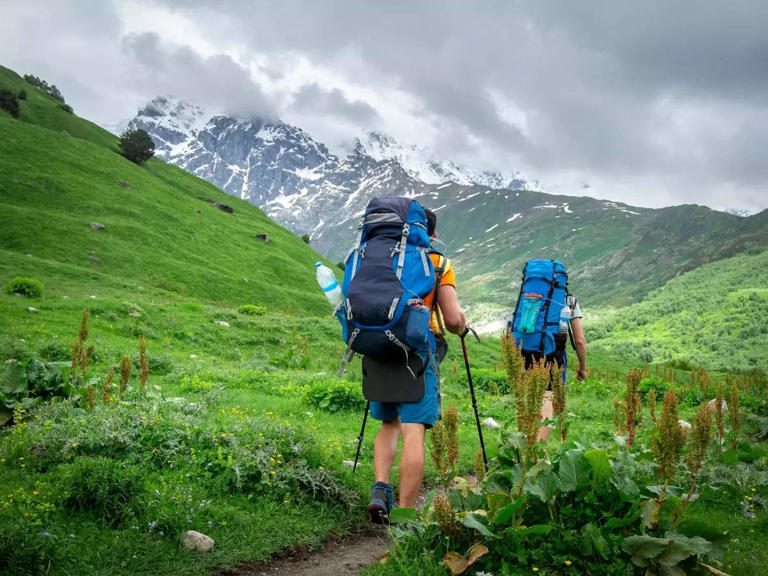 Planning to go trekking in India? Here's a quick guide to a successful ...