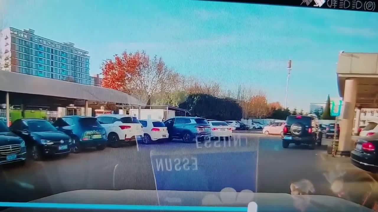 Bungling driver gets his leg run over by his own car