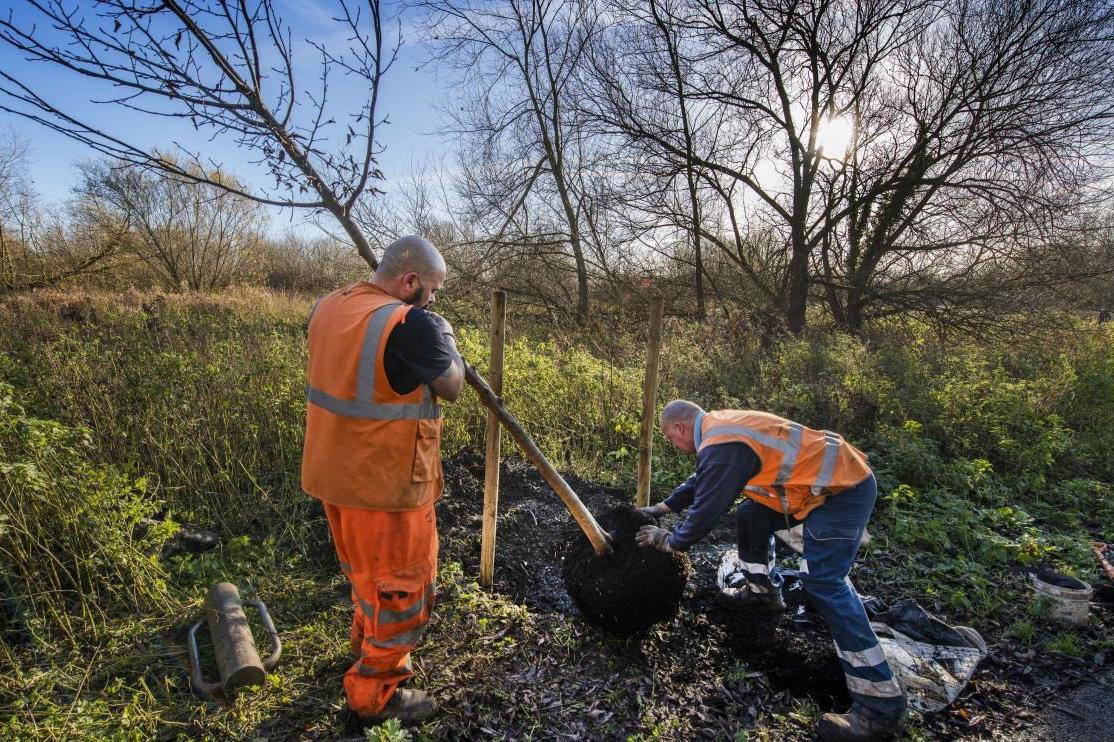 Funding boost for county's huge tree planting drive Funding boost for county's huge tree planting drive